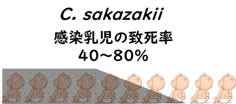 クロノバクター・サカザキ（Cronobacter sakazakii） | 食品微生物学（検査と制御方法）｜基礎と最新情報を解説｜木村 凡