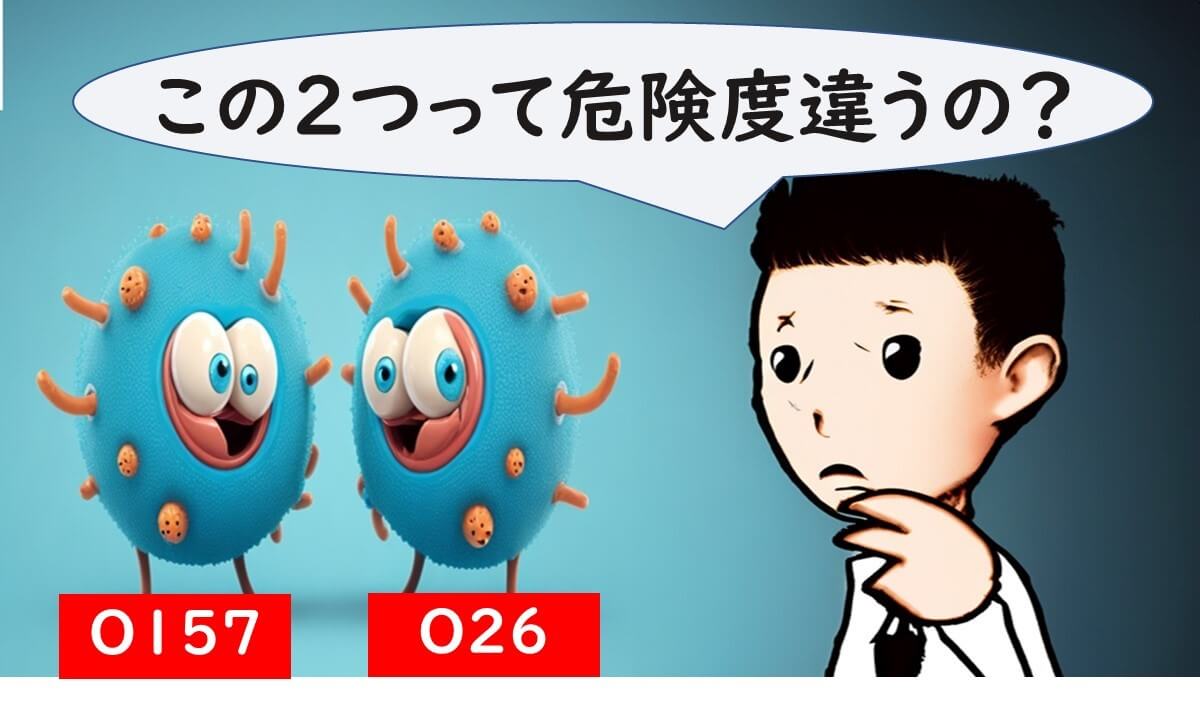 腸管出血性大腸菌O26はO157と比べるとどれくらい危険？ | 食品微生物学（検査と制御方法）｜基礎と最新情報を解説｜木村 凡