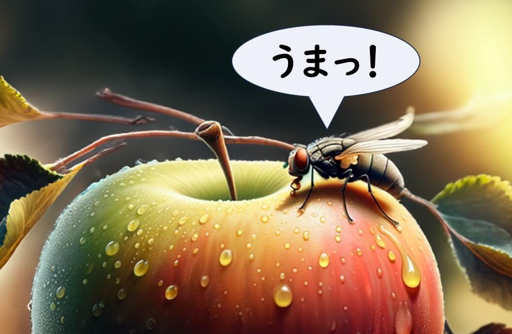 りんごと大腸菌O157リスク | 食品微生物学（検査と制御方法）｜基礎と最新情報を解説｜木村 凡